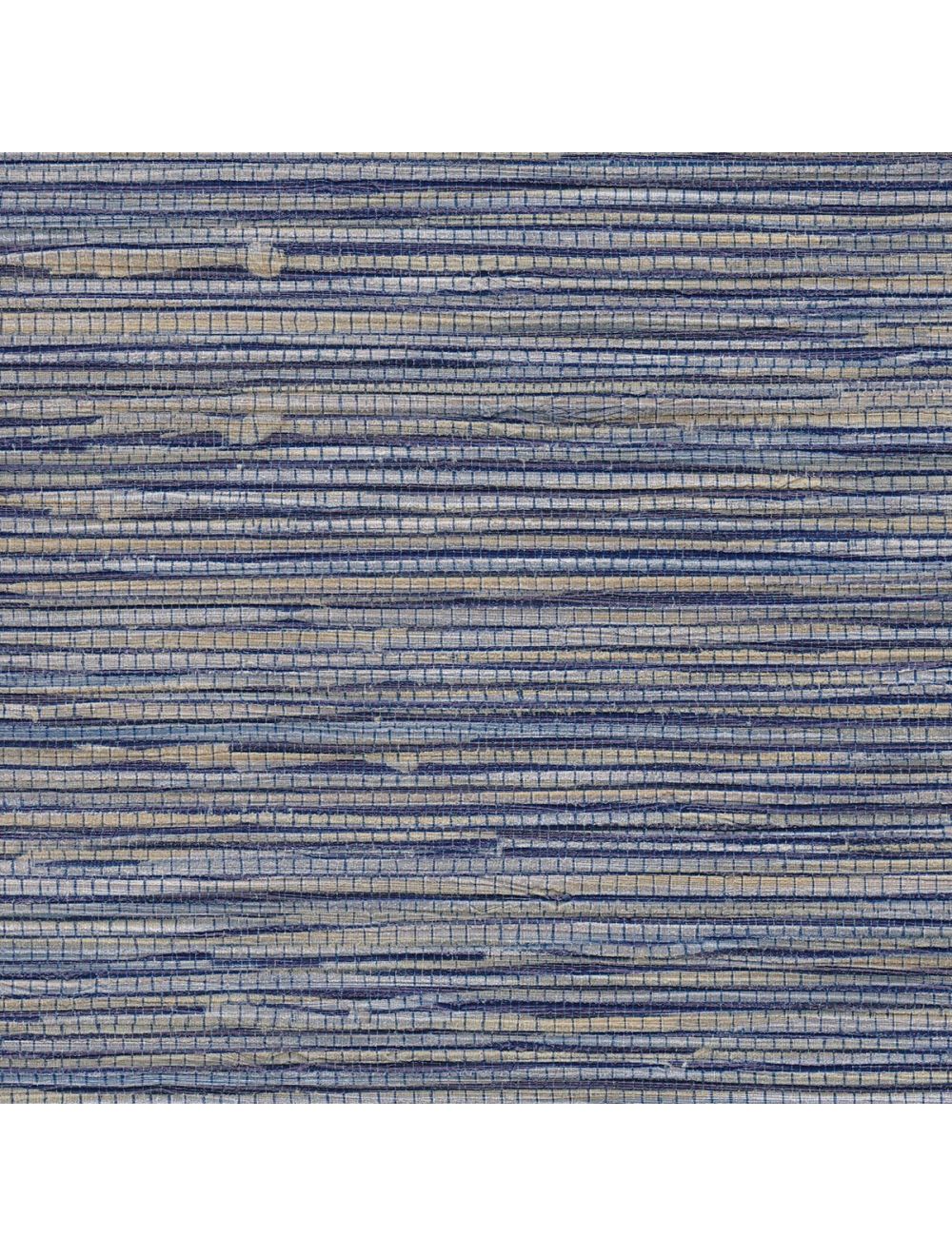 Navy Bean CM146-2786