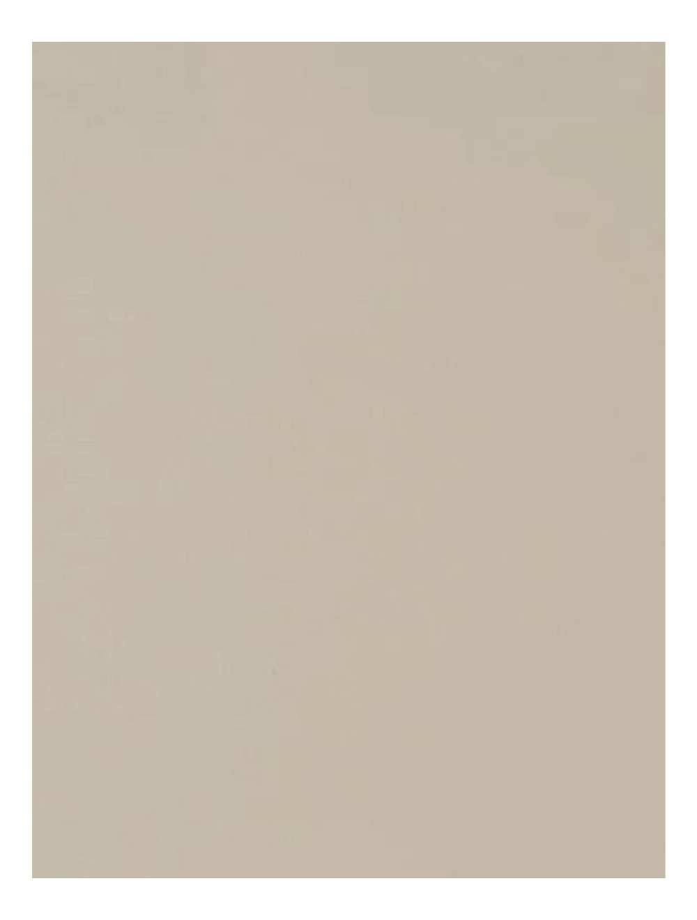 Z104 Beige Grey