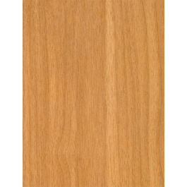 Ash 0470 Laminate | Medium Wood Finish| Surface