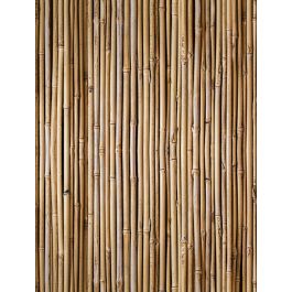 Bamboo Wall