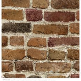 Burnt Clay L304501CD